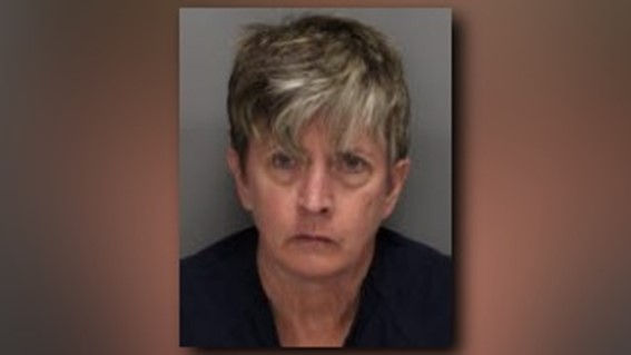 Grandmother Accused Of Killing Daughter In Law Pleads