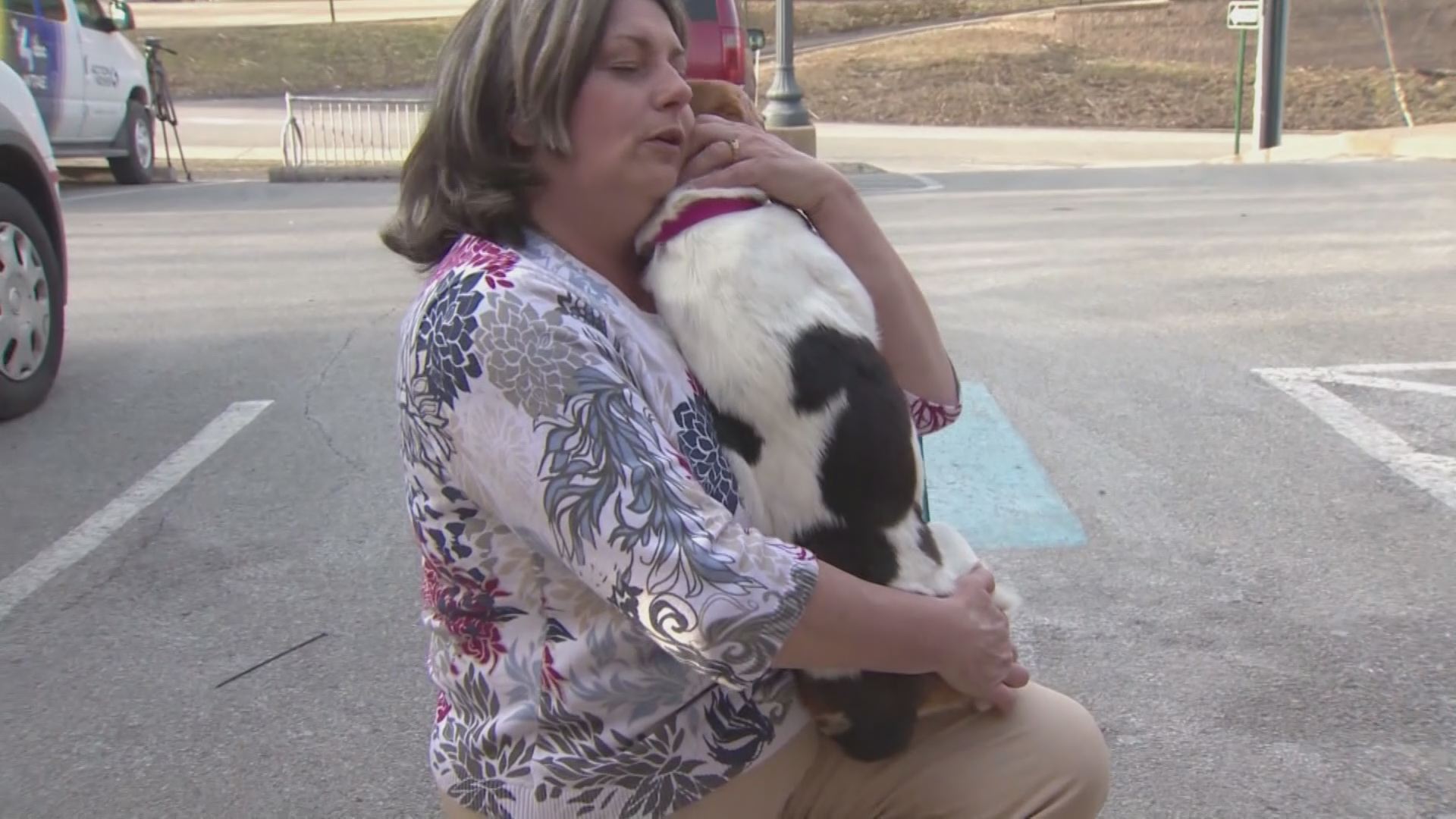 Family reunites with lost beagle after year-long separation | 11alive.com