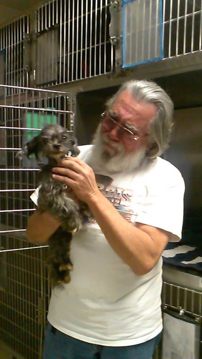 7 years later, Denver man's lost dog turns up in Atlanta | 11alive.com