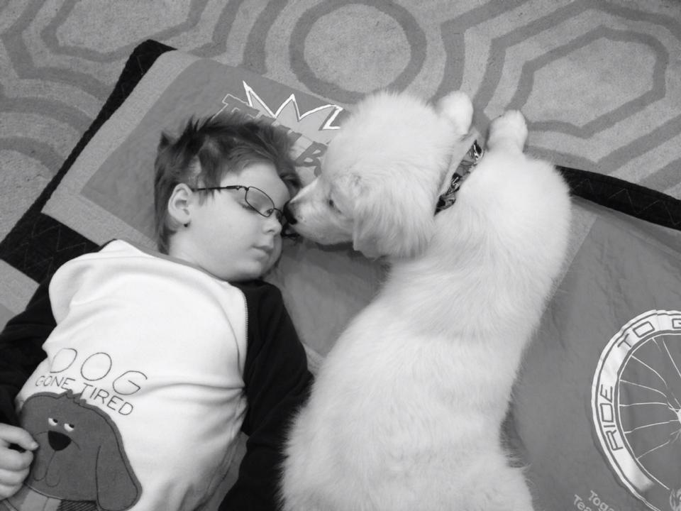 Tripp Halstead gets furry friend | 11alive.com