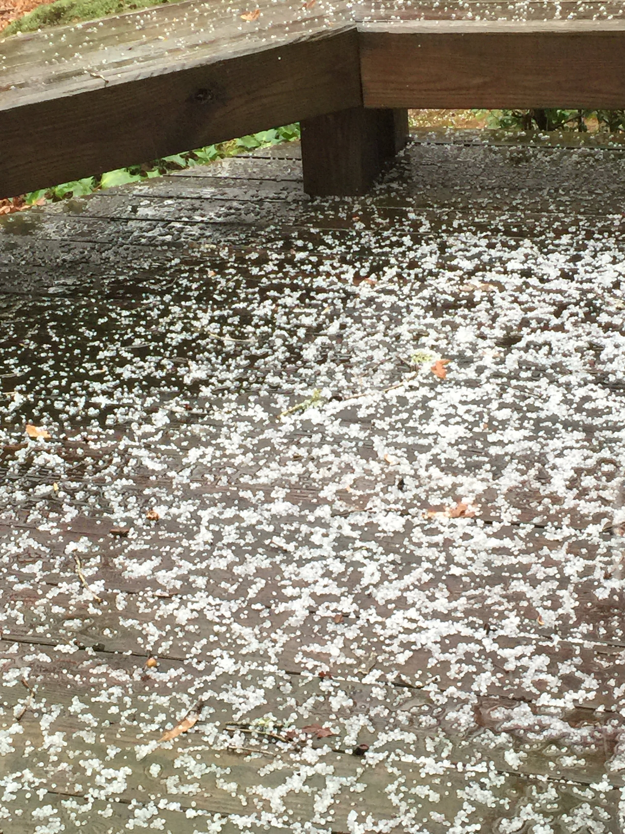 What? Hail?! Tiny hail falls in Metro Atlanta | 11alive.com