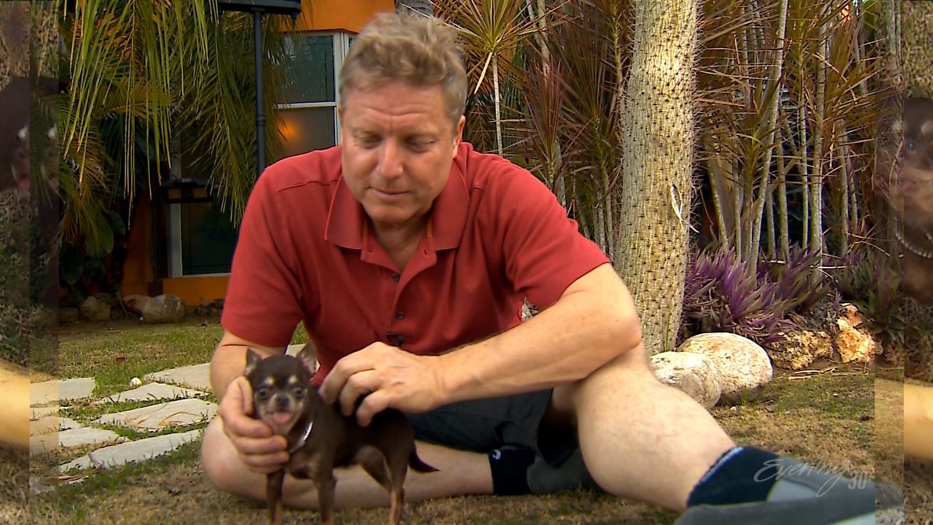 Meet Milly, the world's smallest dog | 11alive.com