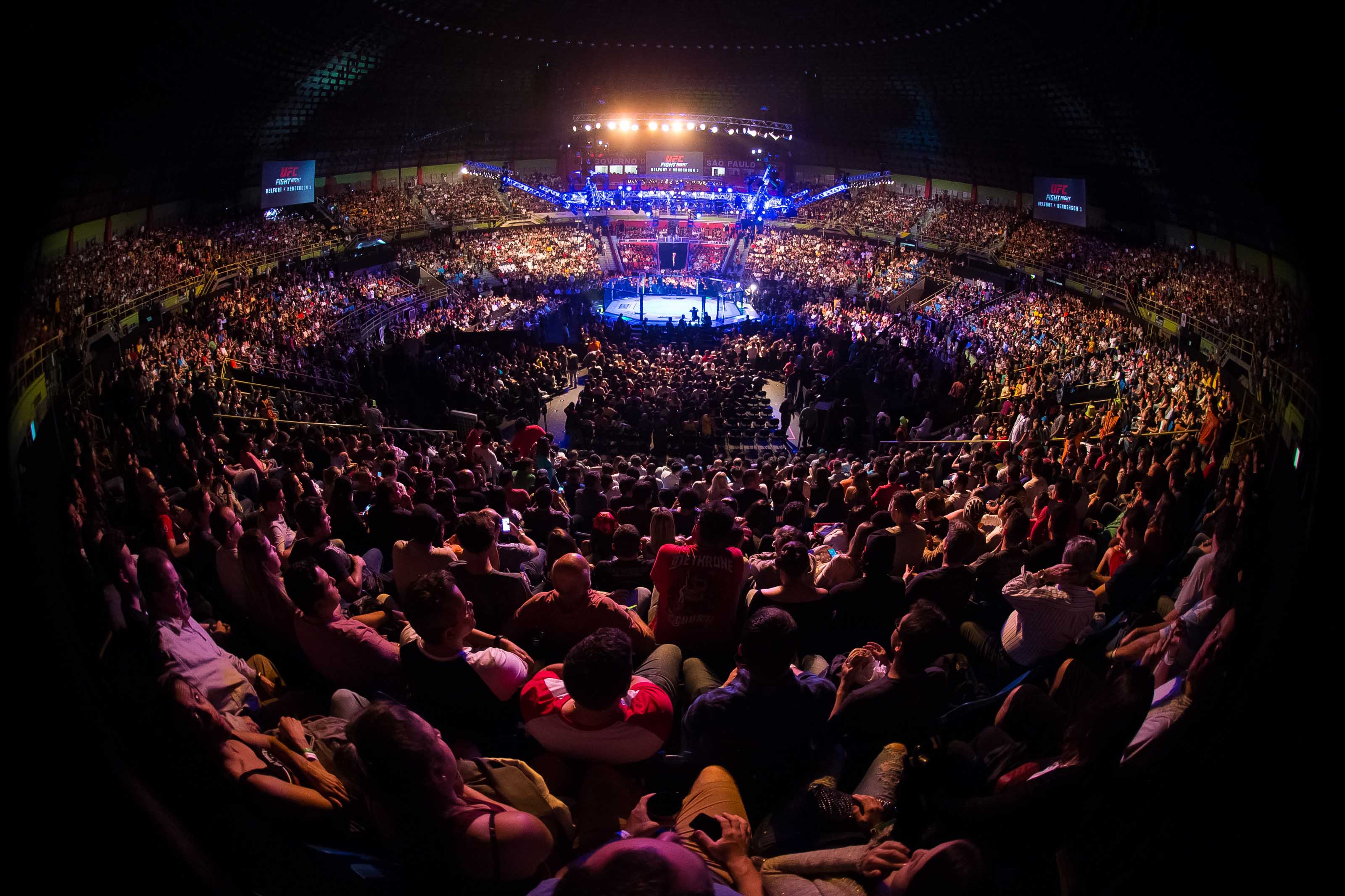 Dangers Of Mma Fighting at Terri Kent blog