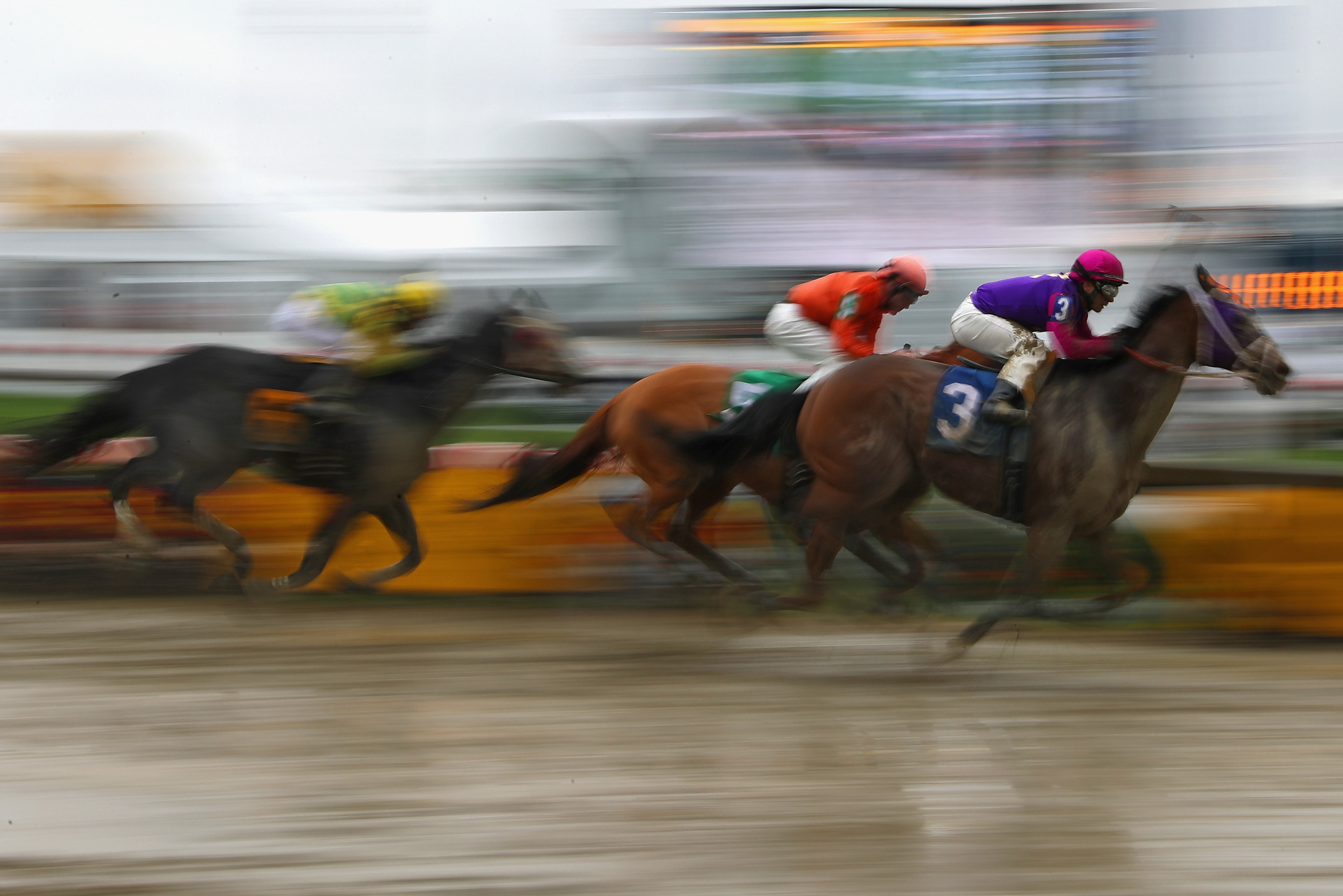 Winner of 1st race on Preakness day collapses, dies | 11alive.com