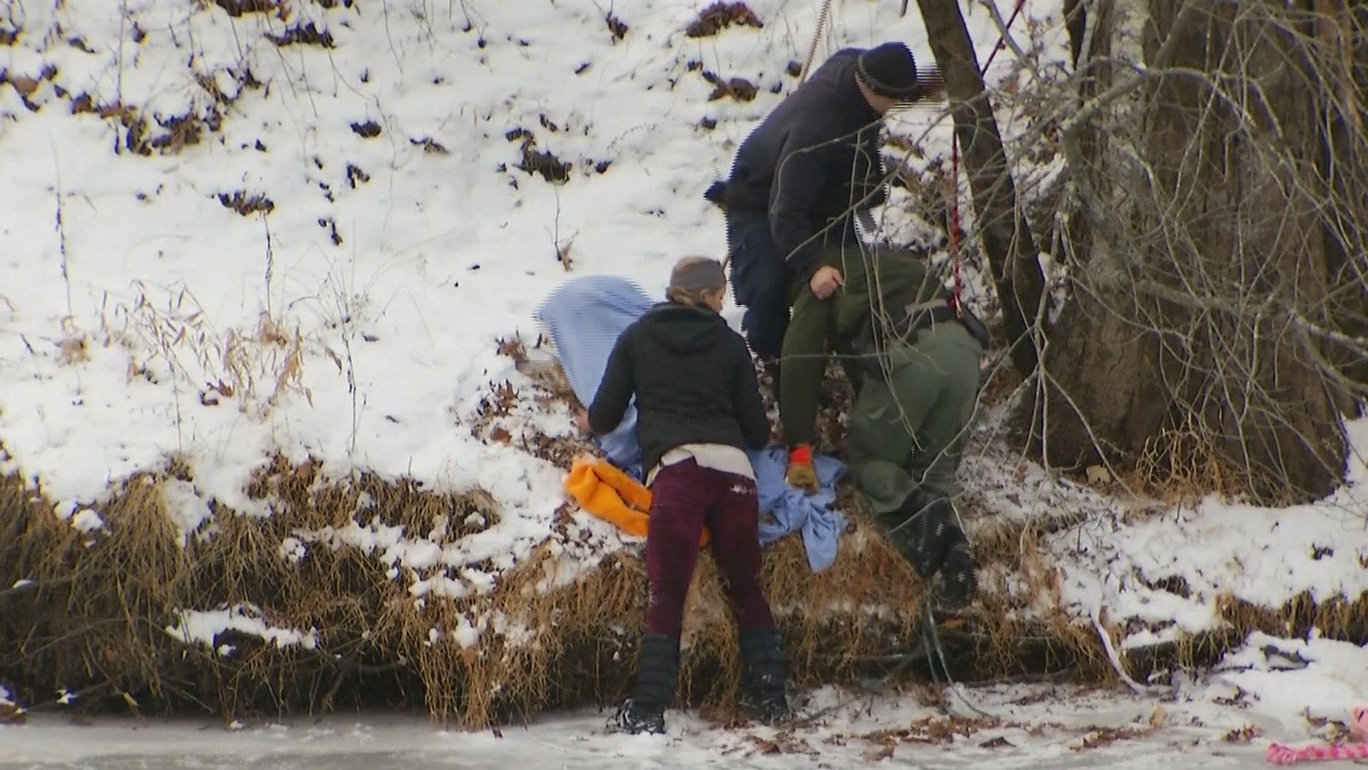 PHOTOS | See the deer rescue frame-by-frame | wgrz.com