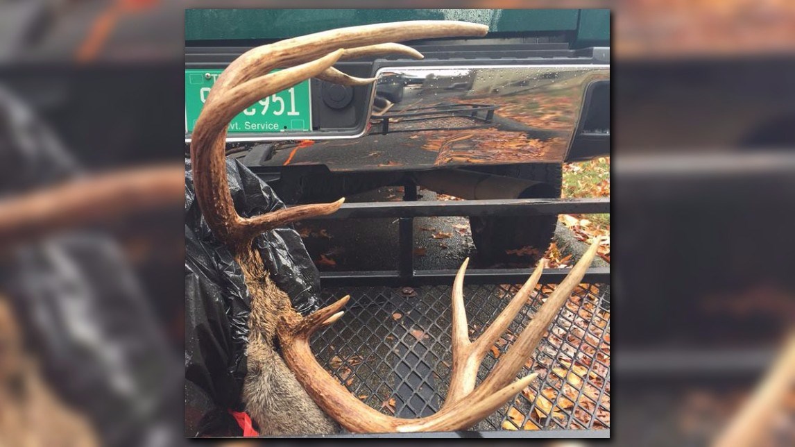 11-point buck costs man nearly $10K | 11alive.com