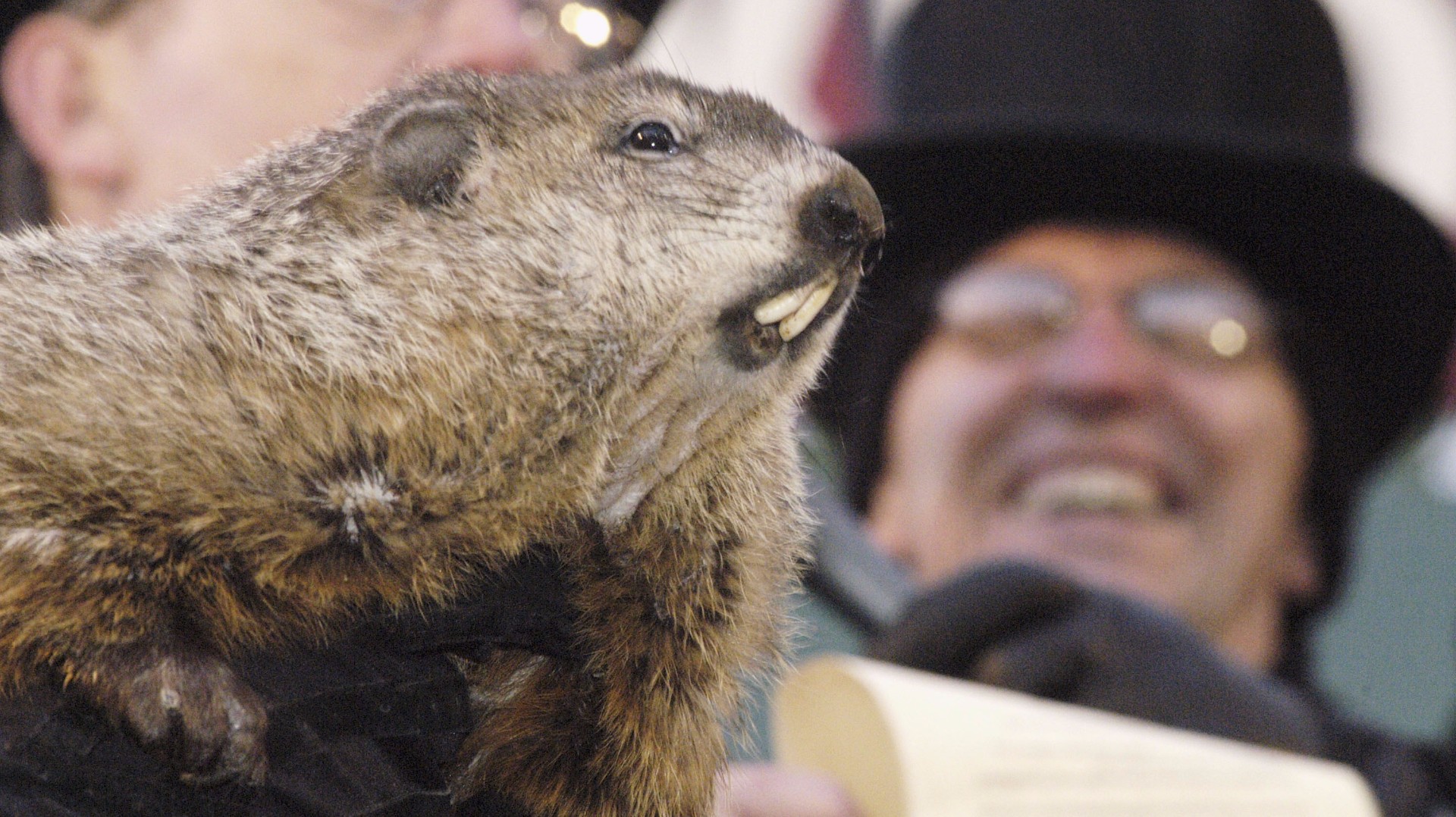 Groundhog Day: Did he see his shadow? | 11alive.com