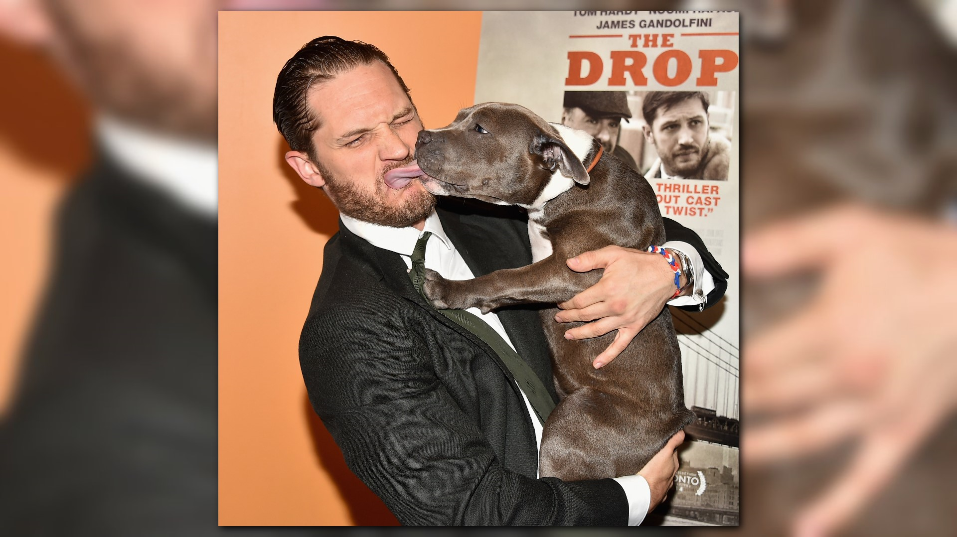Get ready to cry | Tom Hardy wrote a letter to his dog that passed away ...