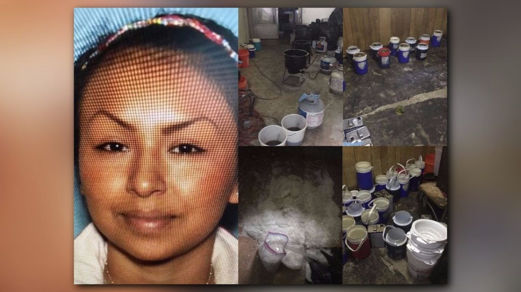 GBI: Woman connected to enormous Ga. meth bust now fleeing with ...